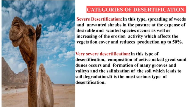 DESERT | PPT