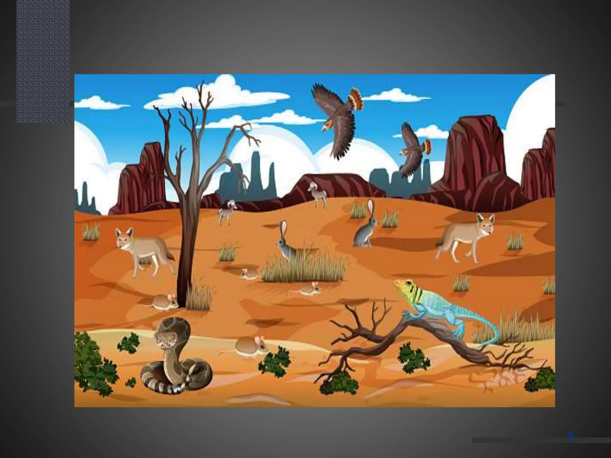 desert-ecosystem.pptx