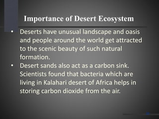 desert-ecosystem.pptx | Weather | Science