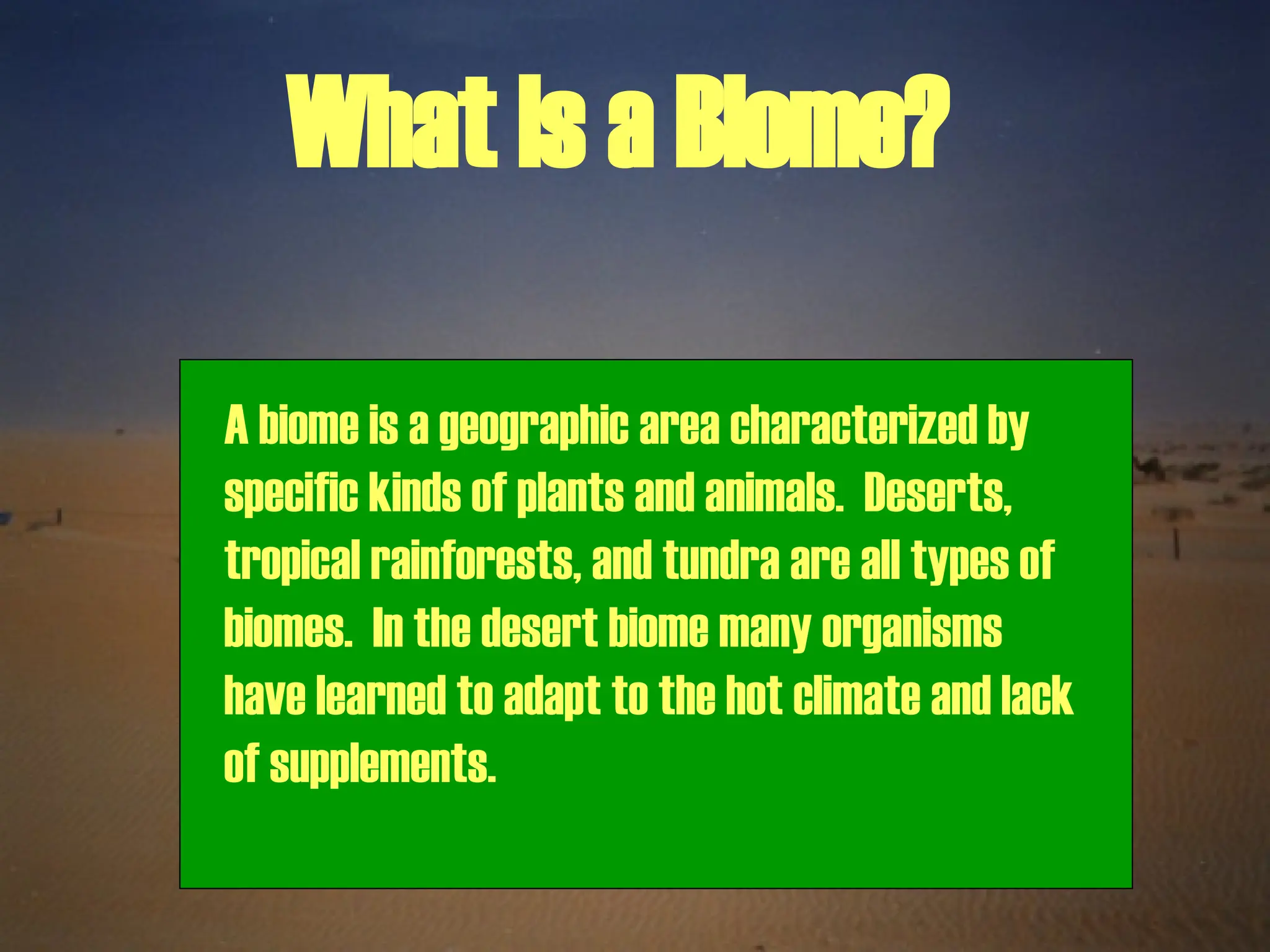 desert Ecosystem ppt in environmental studies | PPT