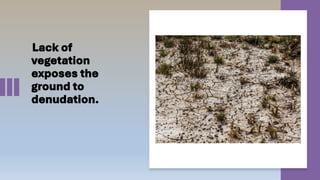 Desert and Desert Landforms | UPSC Geography | PDF