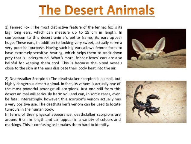 Desert vls mountainous animal | PPTX