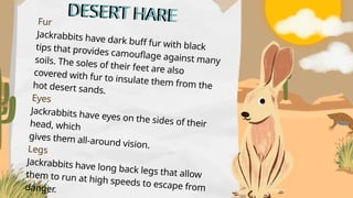 Desert animals, adaptation p presentation on all desert animals fauna ...
