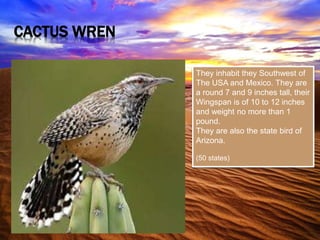 Desert animals : Jonathan & David. | PPT