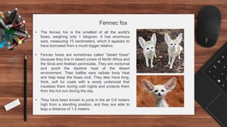 Desert animals | PPTX