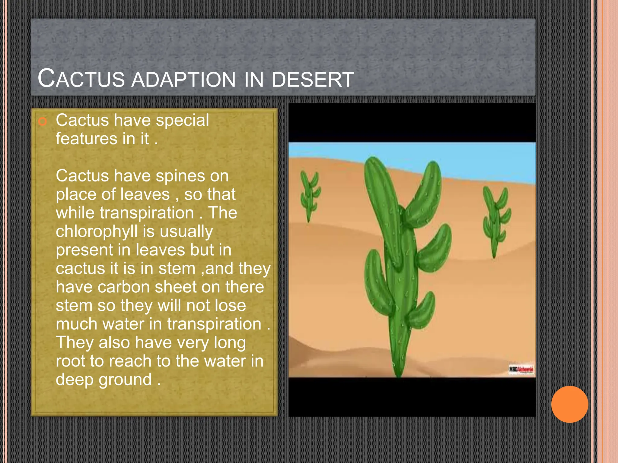DESERT ANIMALS.pptx by Harshvardhan patil | PPT