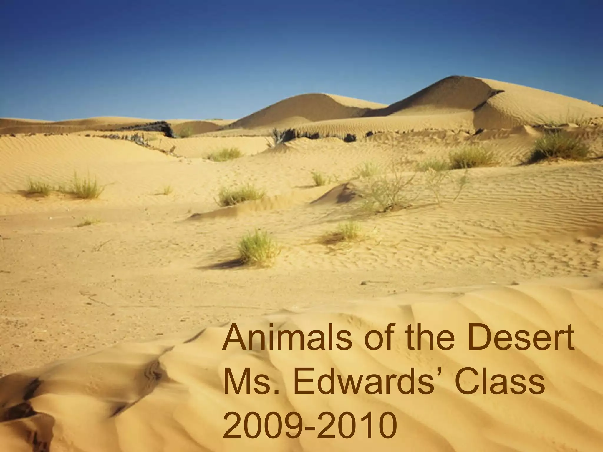 Desert Animals Class Reports | PPT