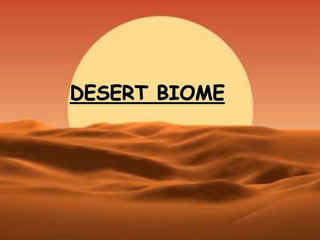 Terrestrial Biomes Desert