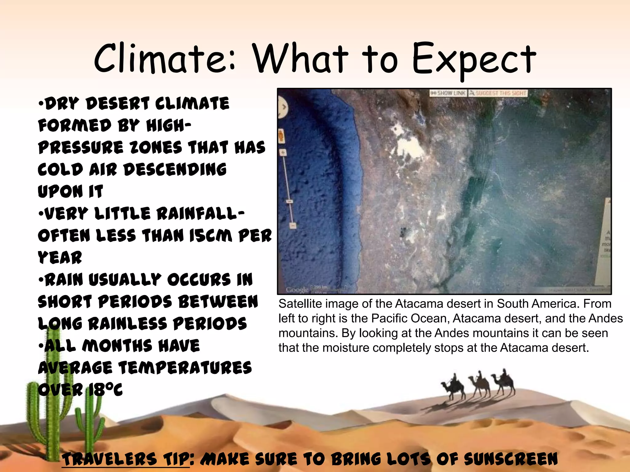 Desert biome project | PPTX