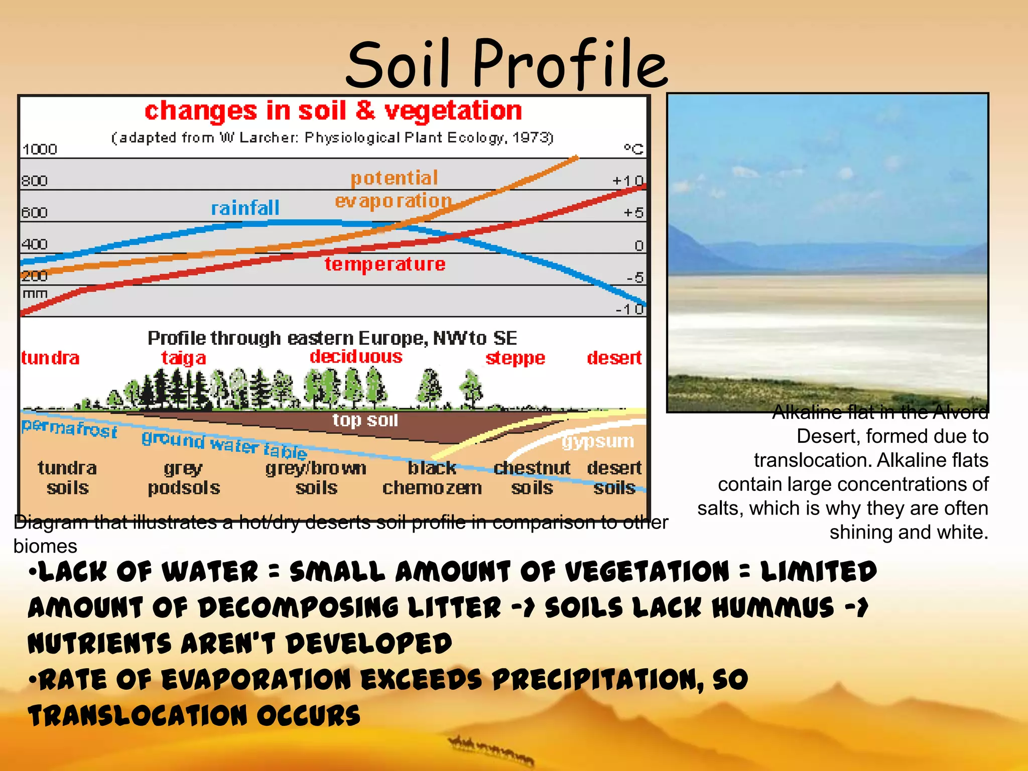 Desert biome project | PPT