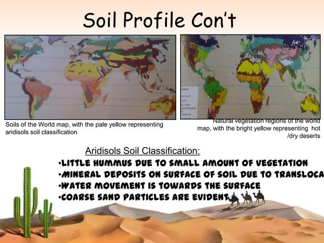 Desert biome project | PPTX | Geography | Science