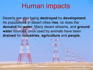 Desert Biomes | PPT