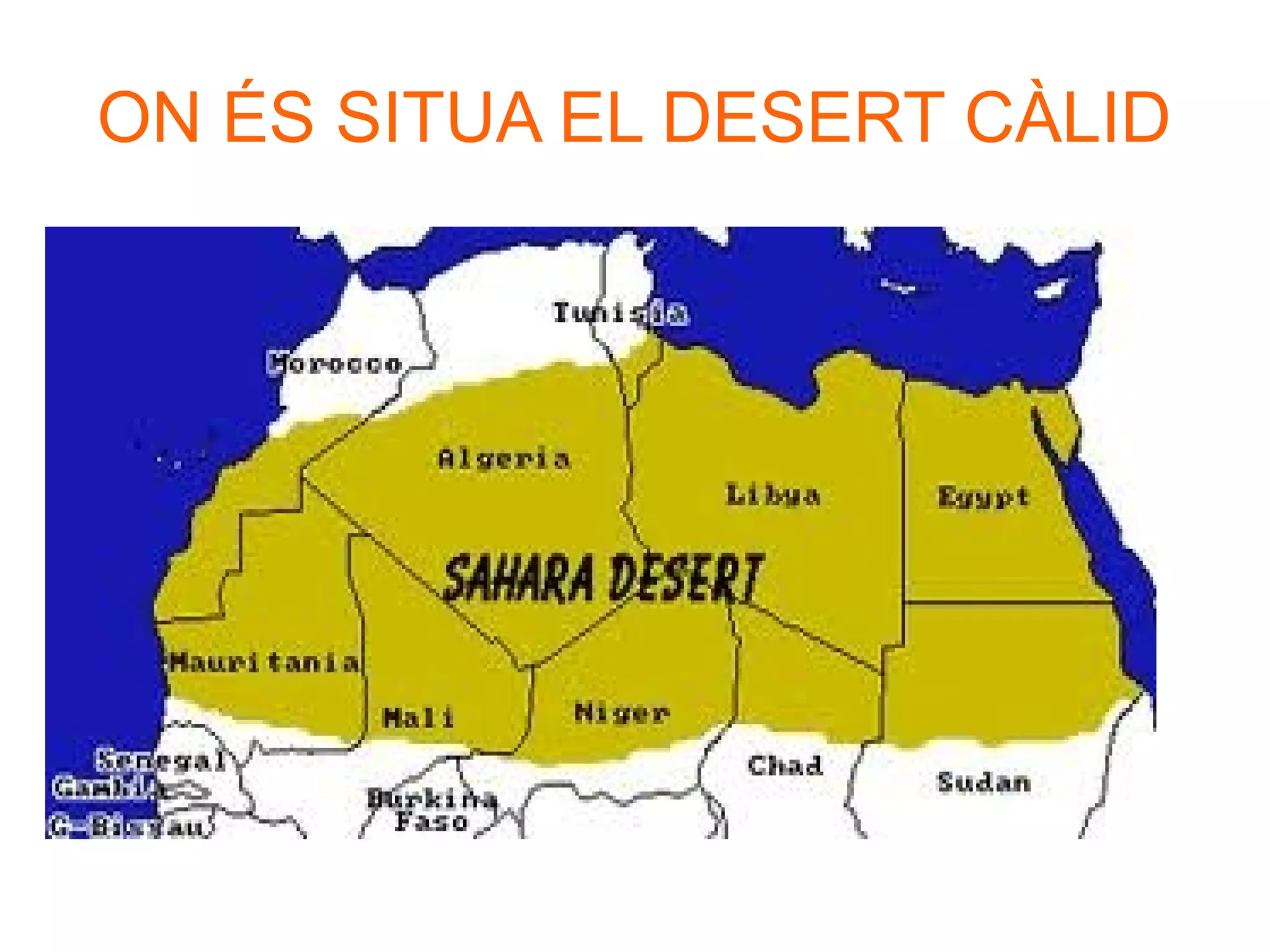 Desert calid | ODP
