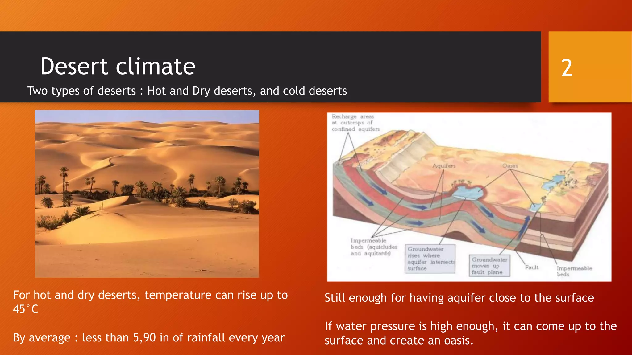 Desert Ecology | PPTX