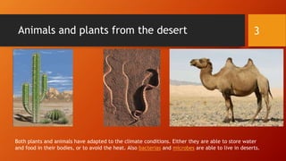 Desert Ecology | PPT