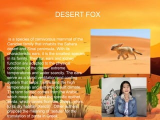 Desert ecosistem proyecto ciencias completo verdadero video | PPTX