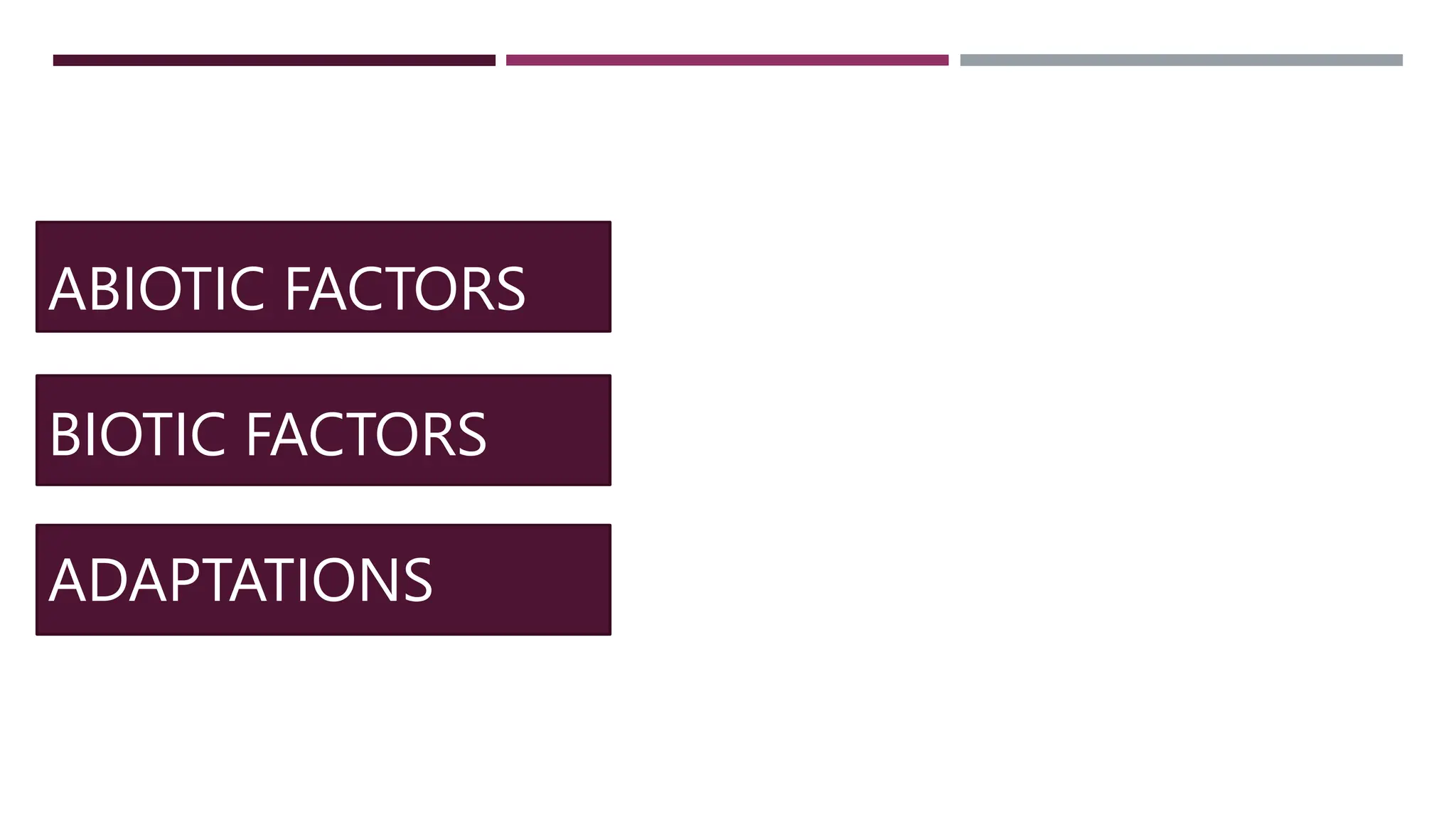 Desert Ecosystem-1.pptx adaptations of animals who survive in desert ...