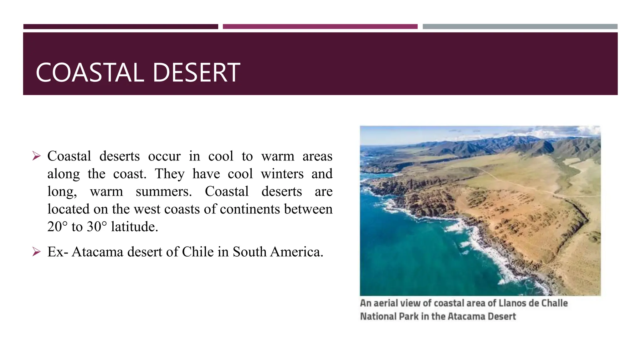 Desert Ecosystem-1.pptx adaptations of animals who survive in desert ...