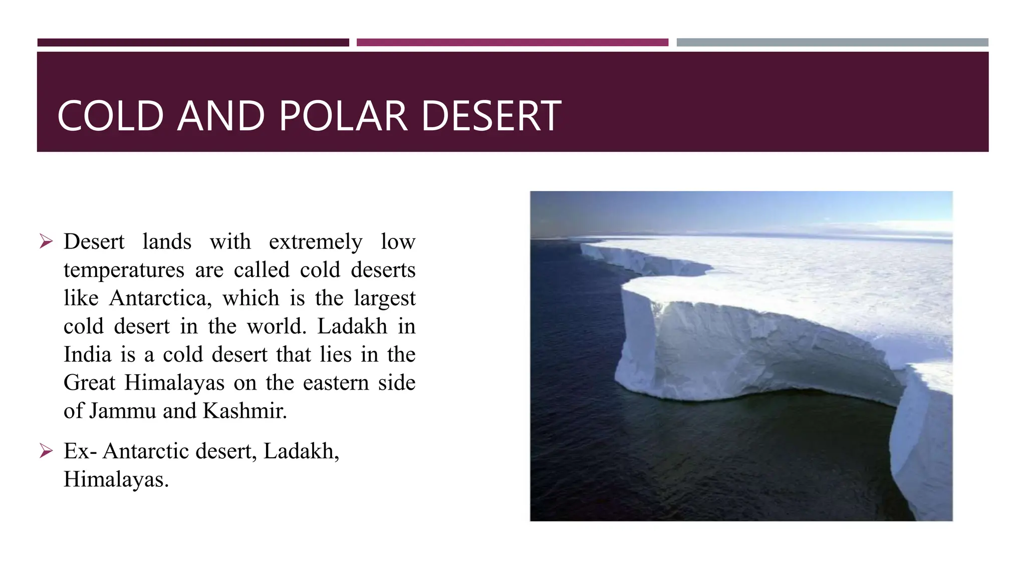 Desert Ecosystem-1.pptx adaptations of animals who survive in desert ...