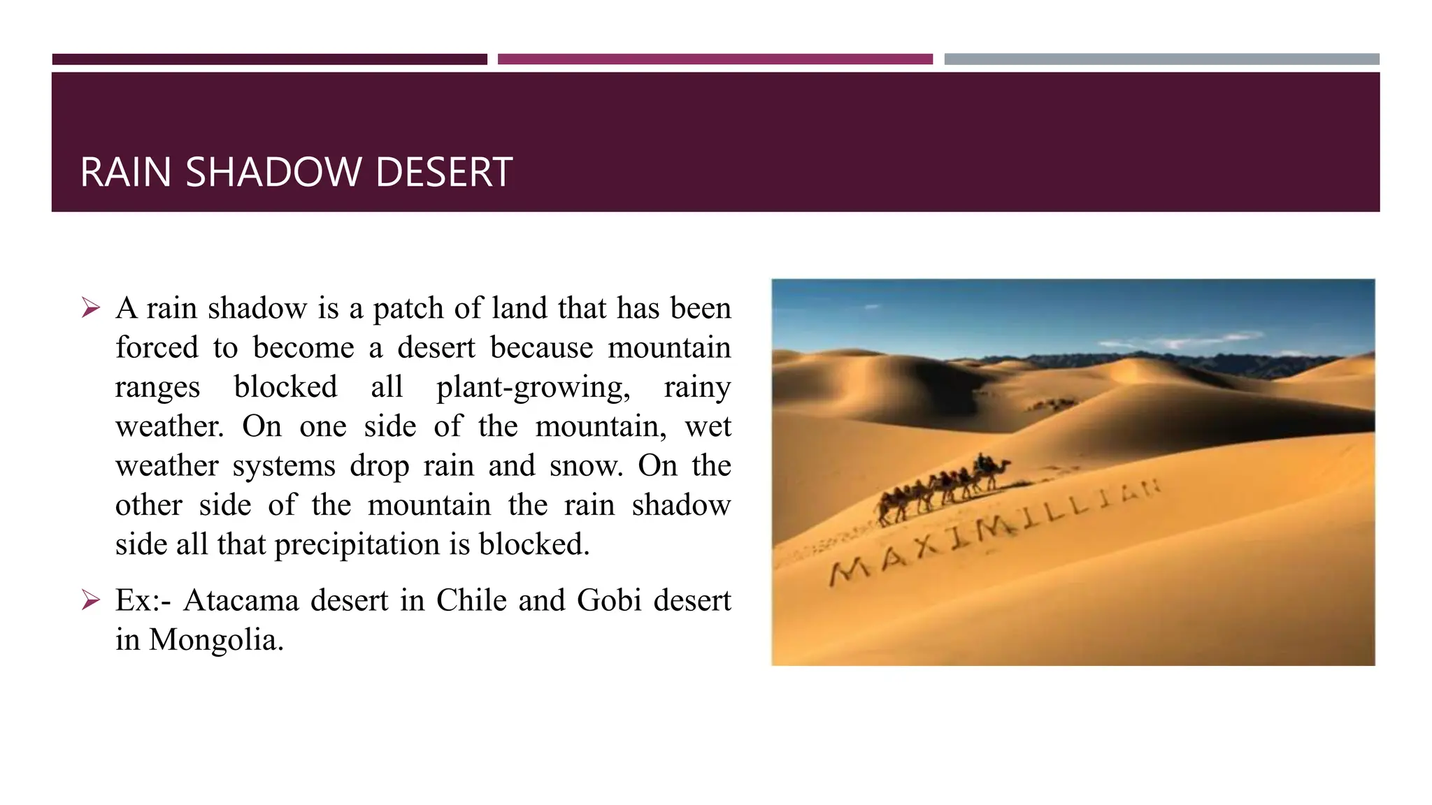 Desert Ecosystem-1.pptx adaptations of animals who survive in desert ...