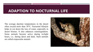 Desert Ecosystem-1.pptx adaptations of animals who survive in desert ...