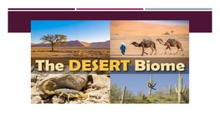 Desert Ecosystem-1.pptx adaptations of animals who survive in desert ...