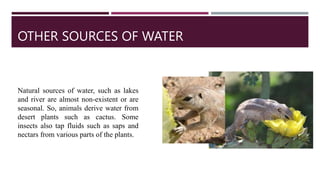 Desert Ecosystem-1.pptx adaptations of animals who survive in desert ...