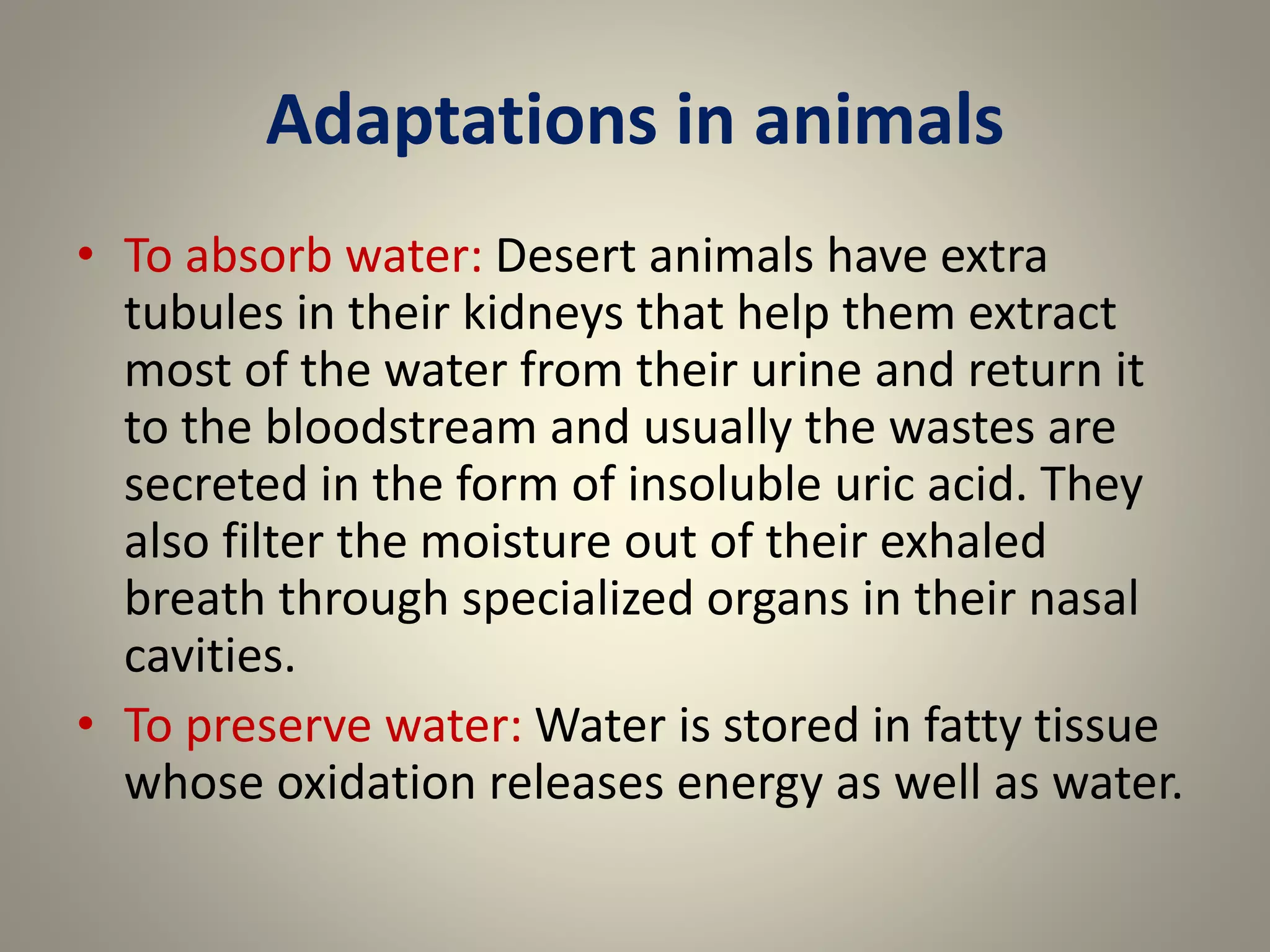 Desert ecosystem | PPTX