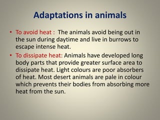 Desert ecosystem | PPTX