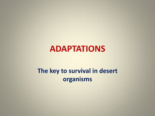 Desert ecosystem | PPTX