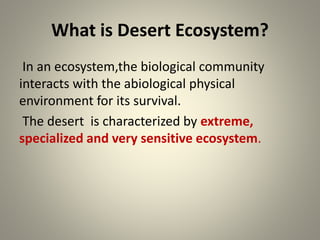Desert Ecosystem Examples