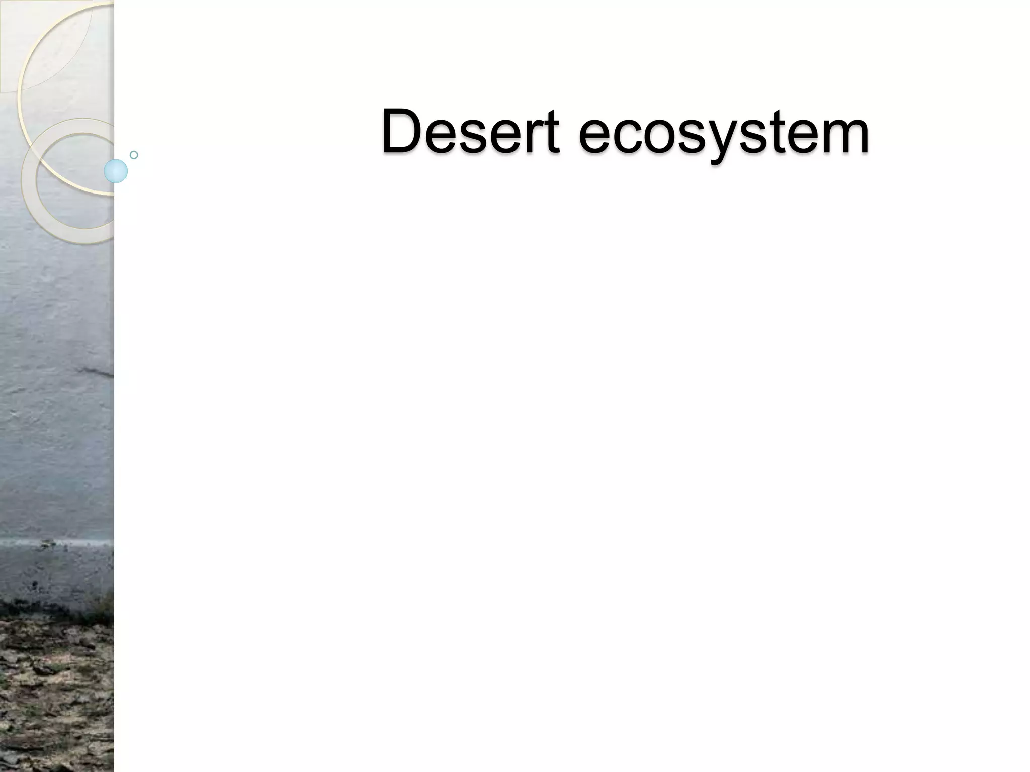 Desert Ecosystem.ppt
