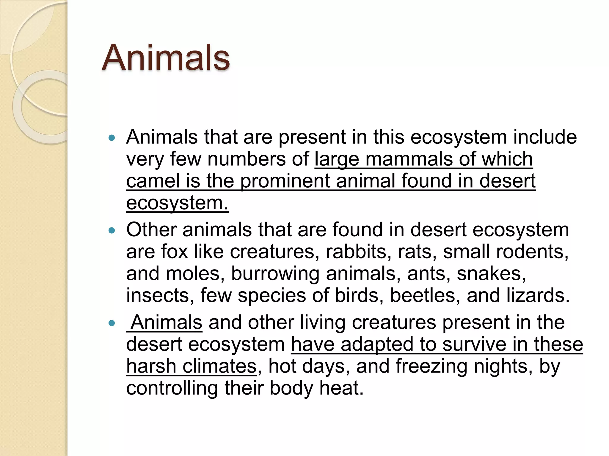 Desert Ecosystem.ppt