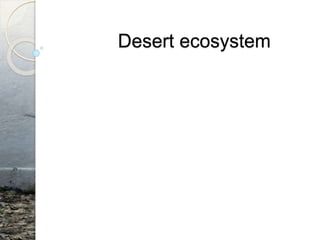 Desert Ecosystem.ppt
