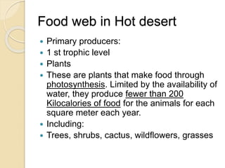 Desert Ecosystem.ppt