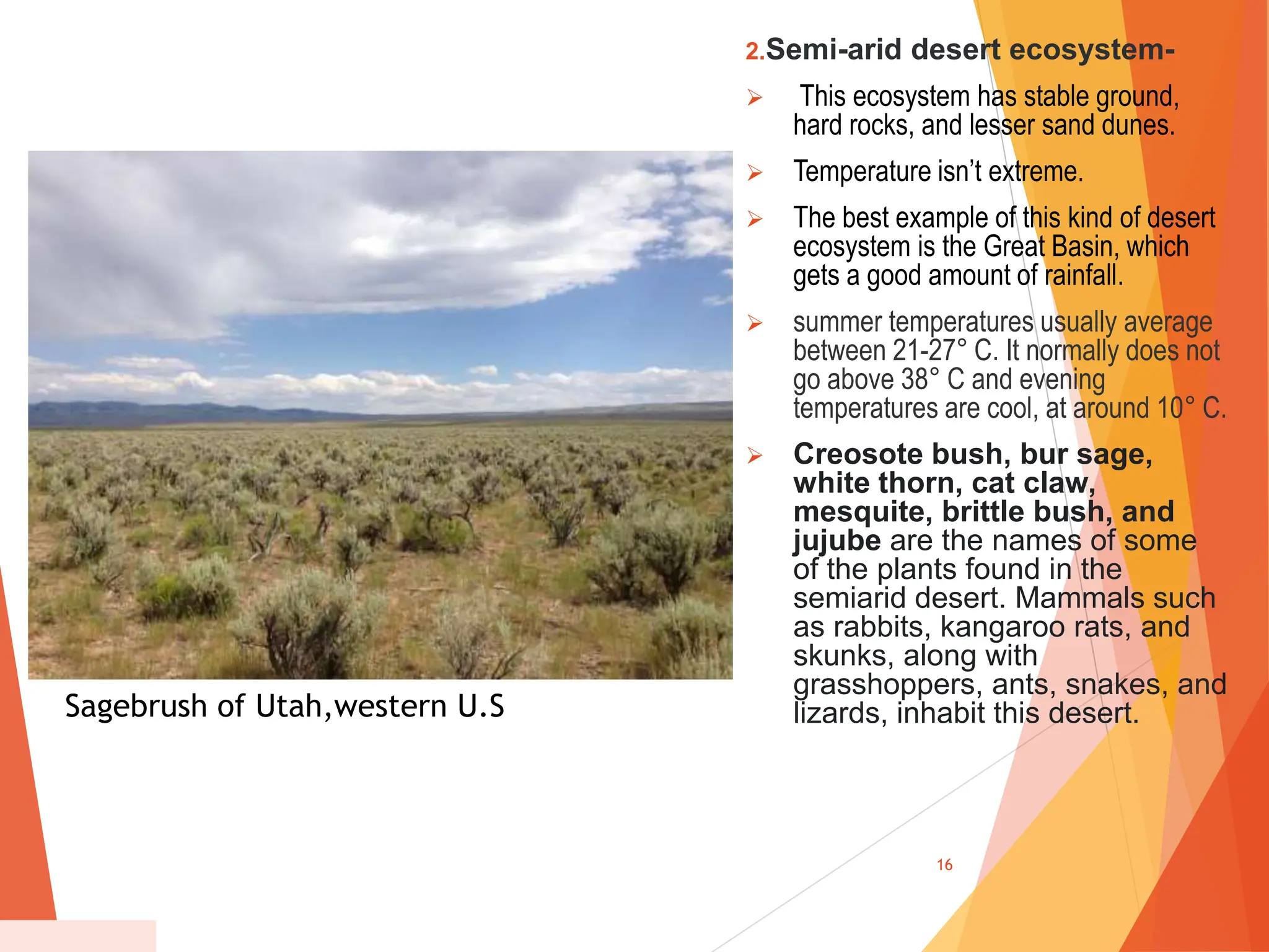 DESERT ECOSYSTEM AND ITS CHARACTERISTICS AND TYPES | PPTX