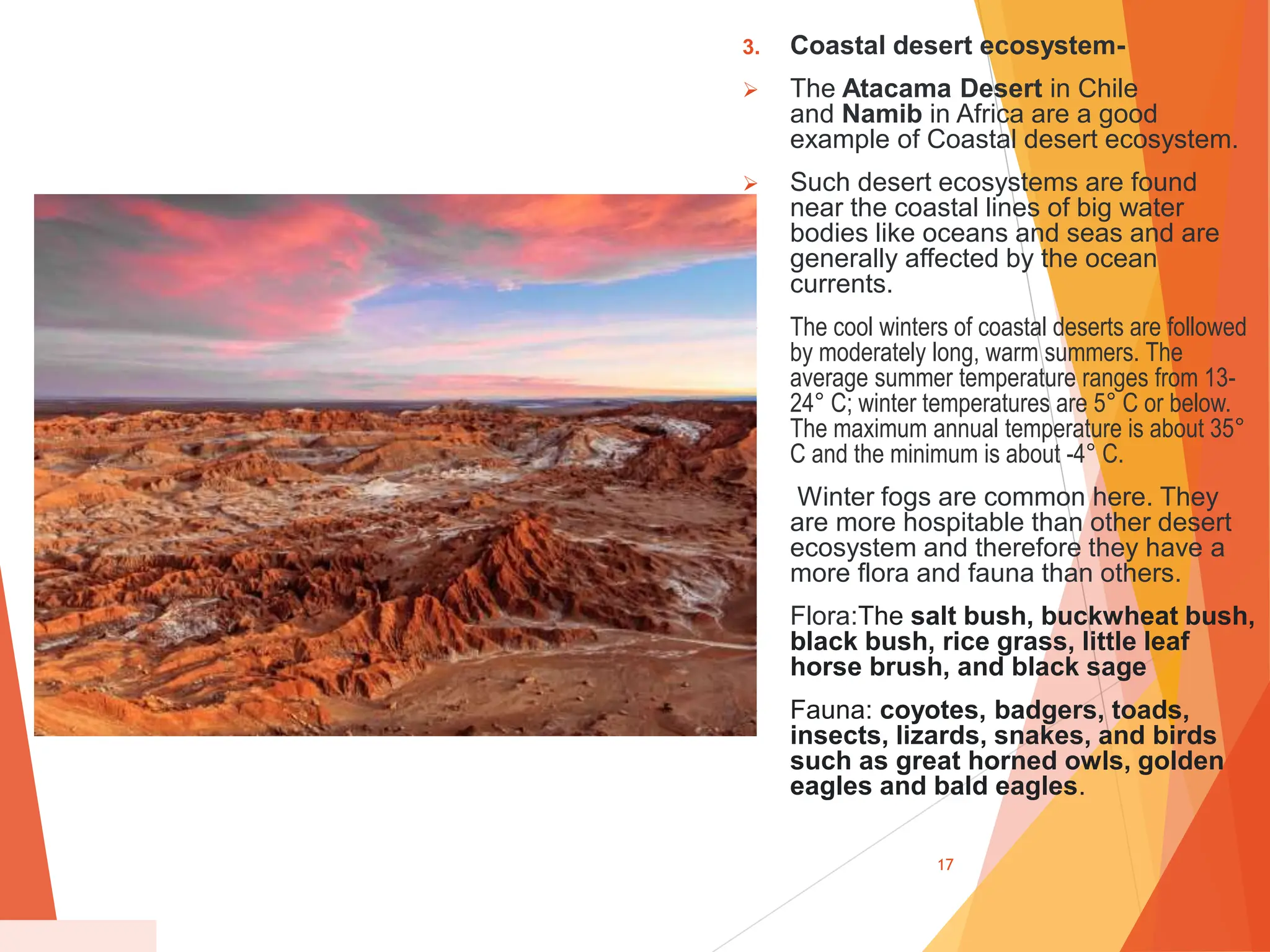 DESERT ECOSYSTEM AND ITS CHARACTERISTICS AND TYPES | PPTX