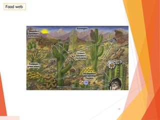 DESERT ECOSYSTEM AND ITS CHARACTERISTICS AND TYPES | PPTX