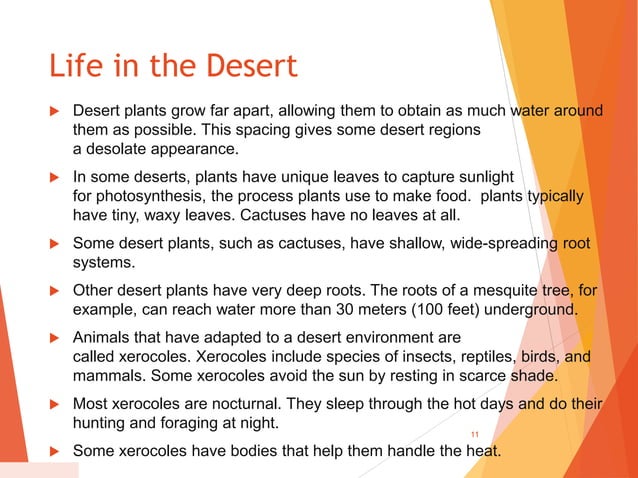 DESERT ECOSYSTEM AND ITS CHARACTERISTICS AND TYPES | PPTX | Weather ...