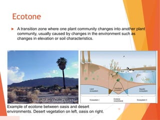 DESERT ECOSYSTEM AND ITS CHARACTERISTICS AND TYPES | PPTX