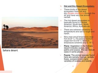 DESERT ECOSYSTEM AND ITS CHARACTERISTICS AND TYPES | PPTX
