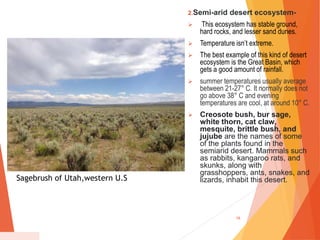 DESERT ECOSYSTEM AND ITS CHARACTERISTICS AND TYPES | PPTX