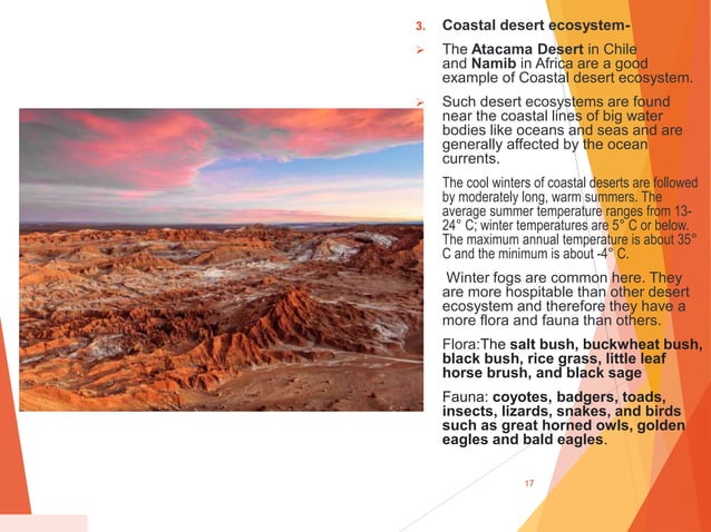 DESERT ECOSYSTEM AND ITS CHARACTERISTICS AND TYPES | PPTX | Weather ...