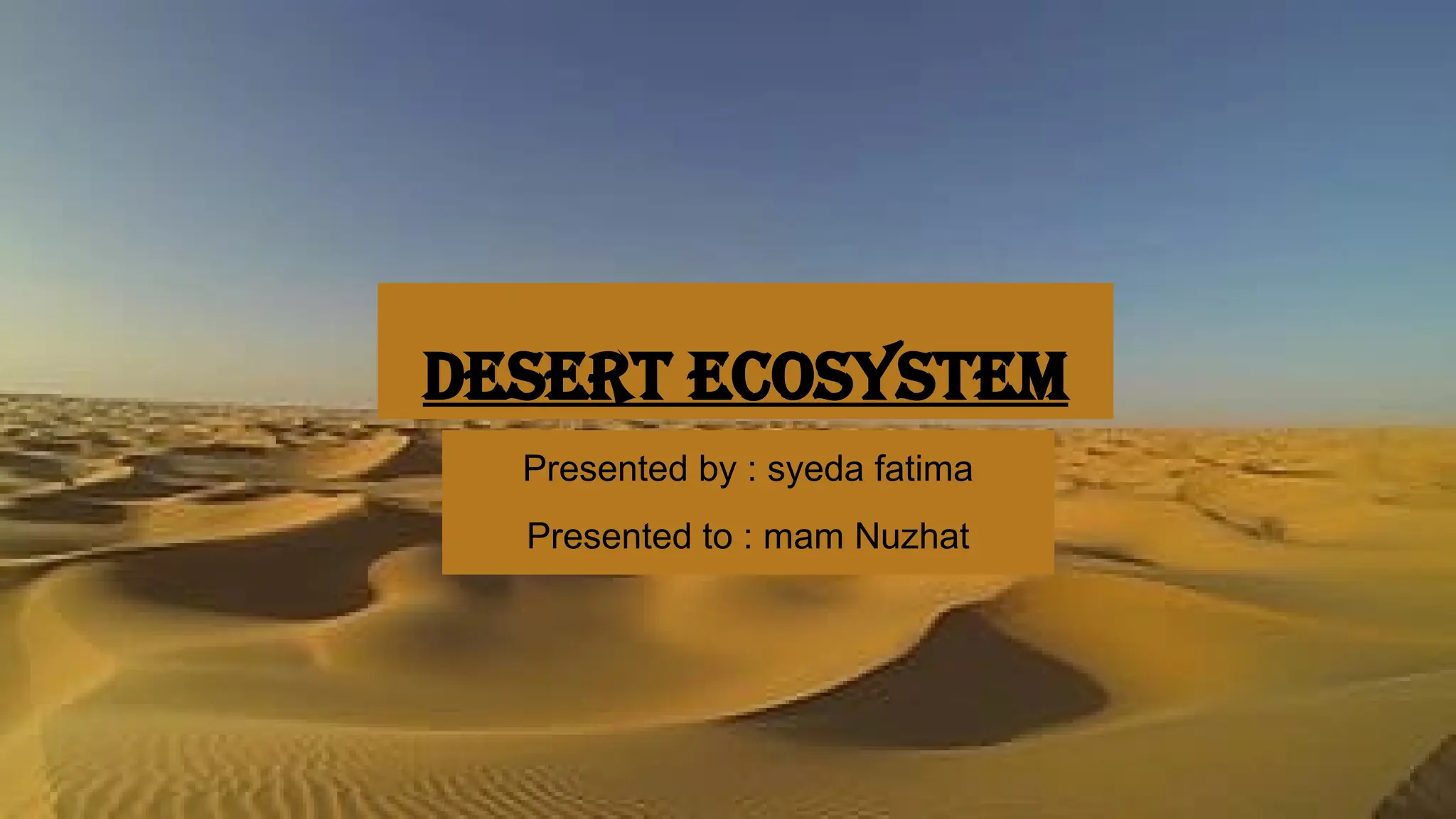 Desert ecosystem it's types , importance and adaptation of flora and ...