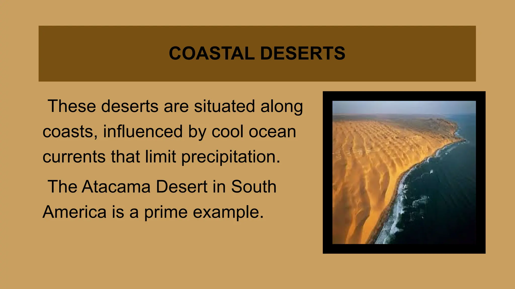 Desert ecosystem it's types , importance and adaptation of flora and ...