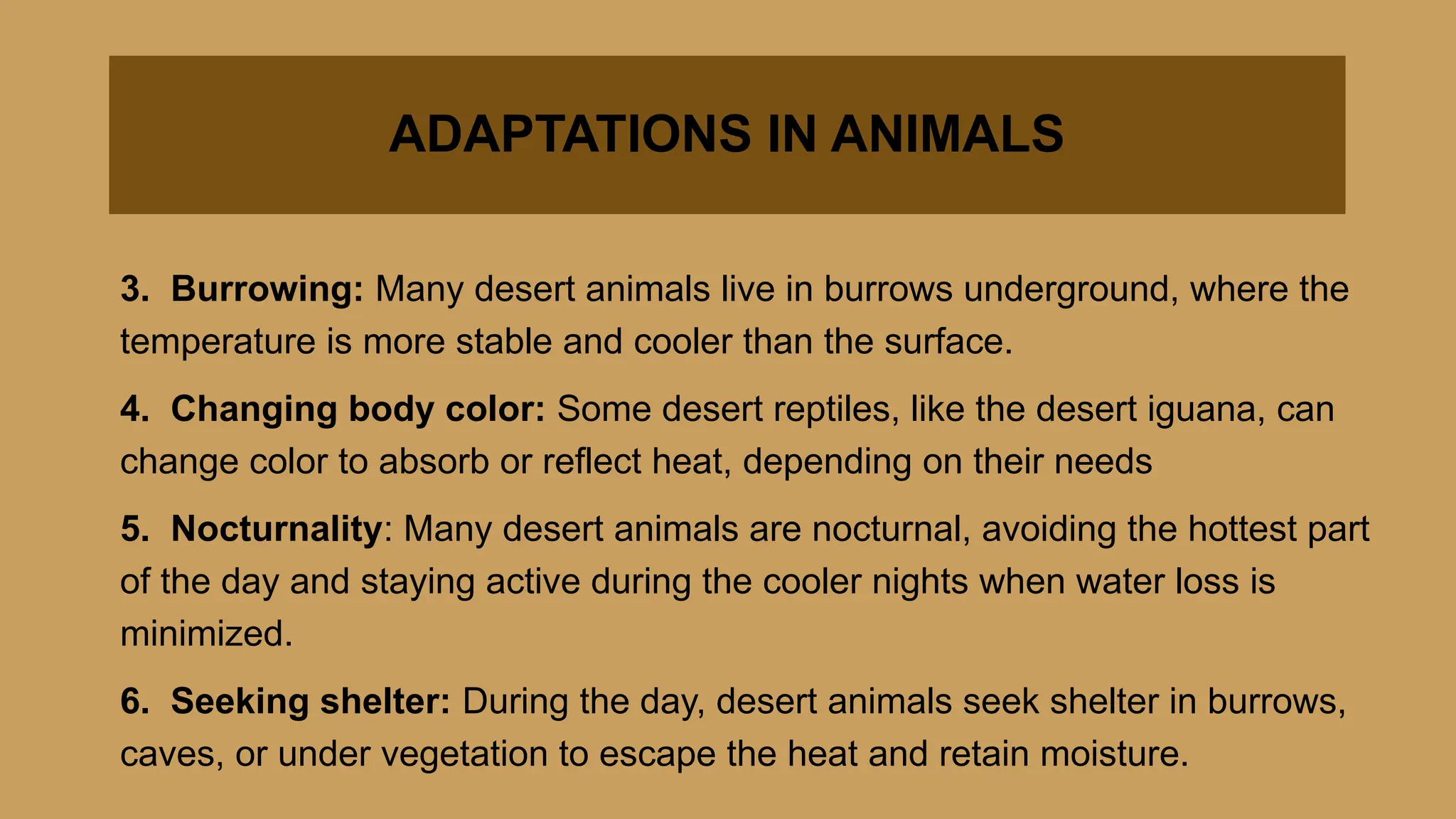 Desert ecosystem it's types , importance and adaptation of flora and ...