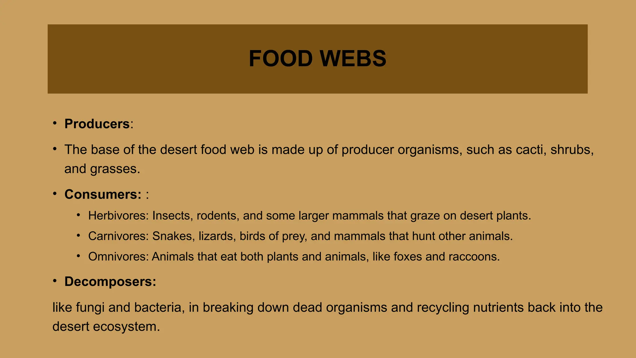 Desert ecosystem it's types , importance and adaptation of flora and ...