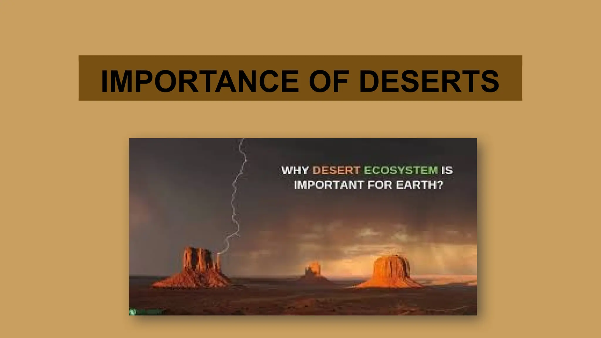 Desert ecosystem it's types , importance and adaptation of flora and ...