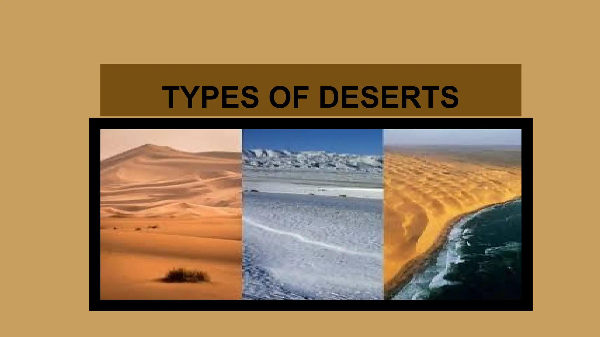 Desert ecosystem it's types , importance and adaptation of flora and ...