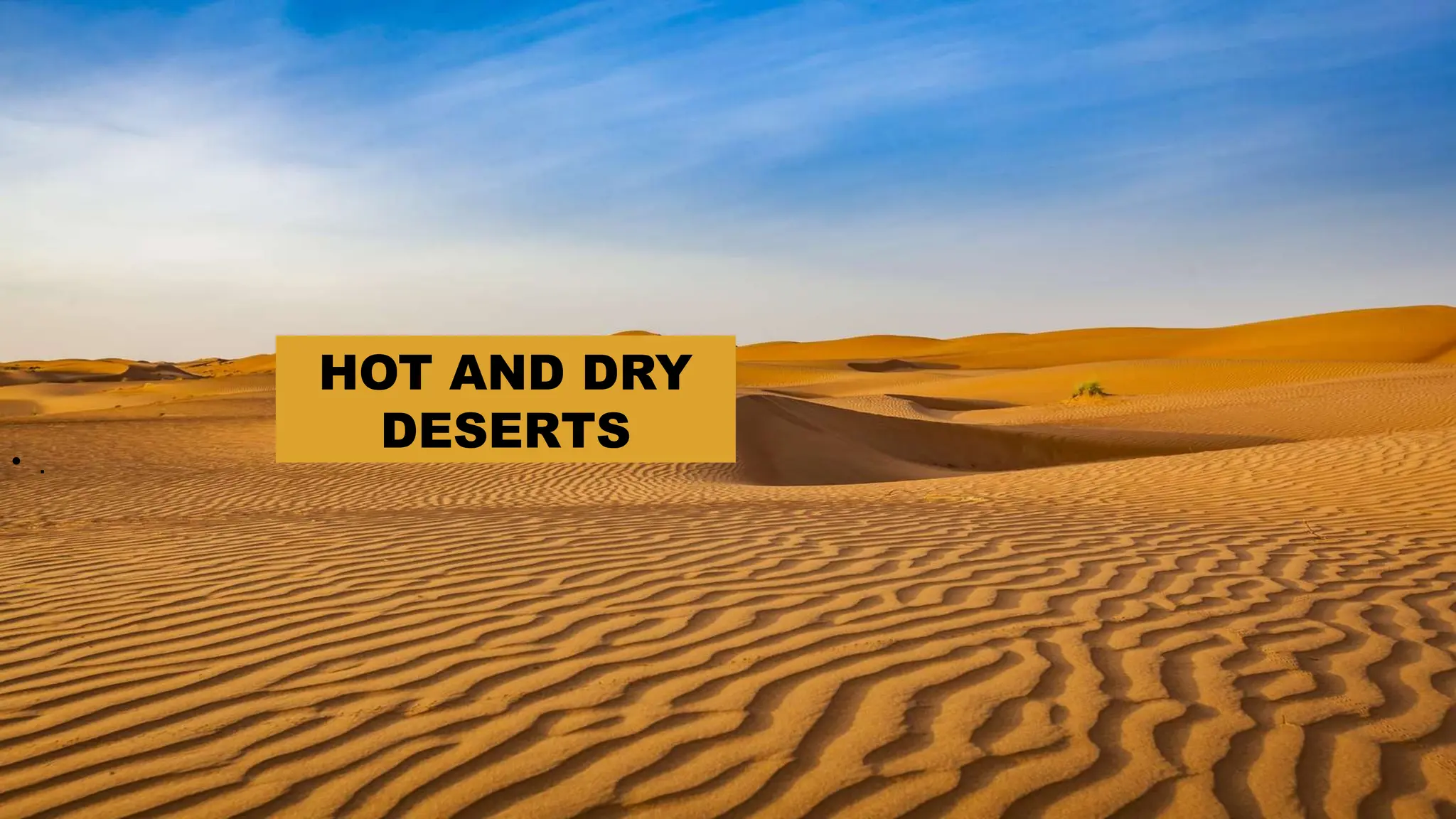 Desert ecosystem it's types , importance and adaptation of flora and ...